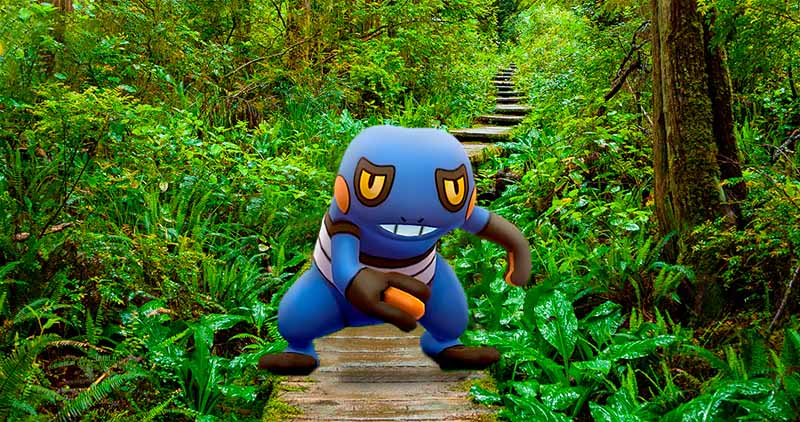 Hora destacada de Croagunk en Pokémon GO - PoGoQuest