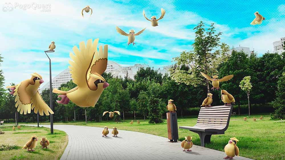 Hora destacada de Pidgey en Pokémon GO - PoGoQuest